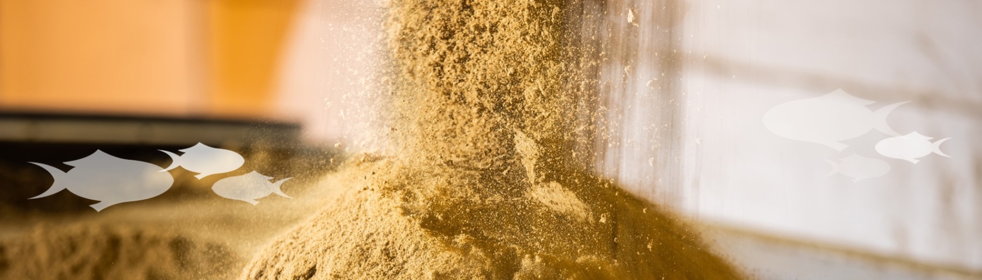 主页 - IFFO海洋原料机构 | IFFO - The Marine Ingredients Organisation