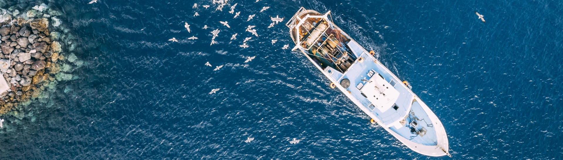 主页 - IFFO海洋原料机构 | IFFO - The Marine Ingredients Organisation