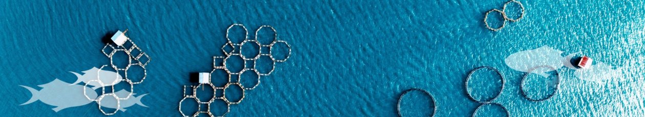 FFDR Data | IFFO - The Marine Ingredients Organisation