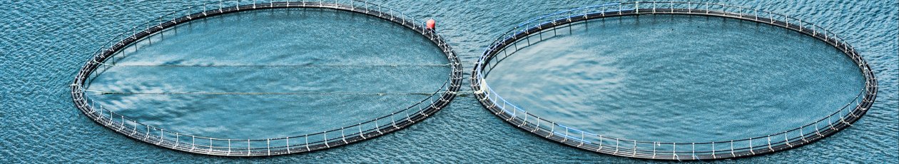 FFDR Data | IFFO - The Marine Ingredients Organisation