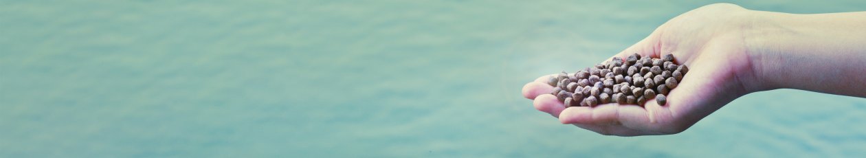 CODEX Standard for Fish Oil | IFFO - The Marine Ingredients Organisation