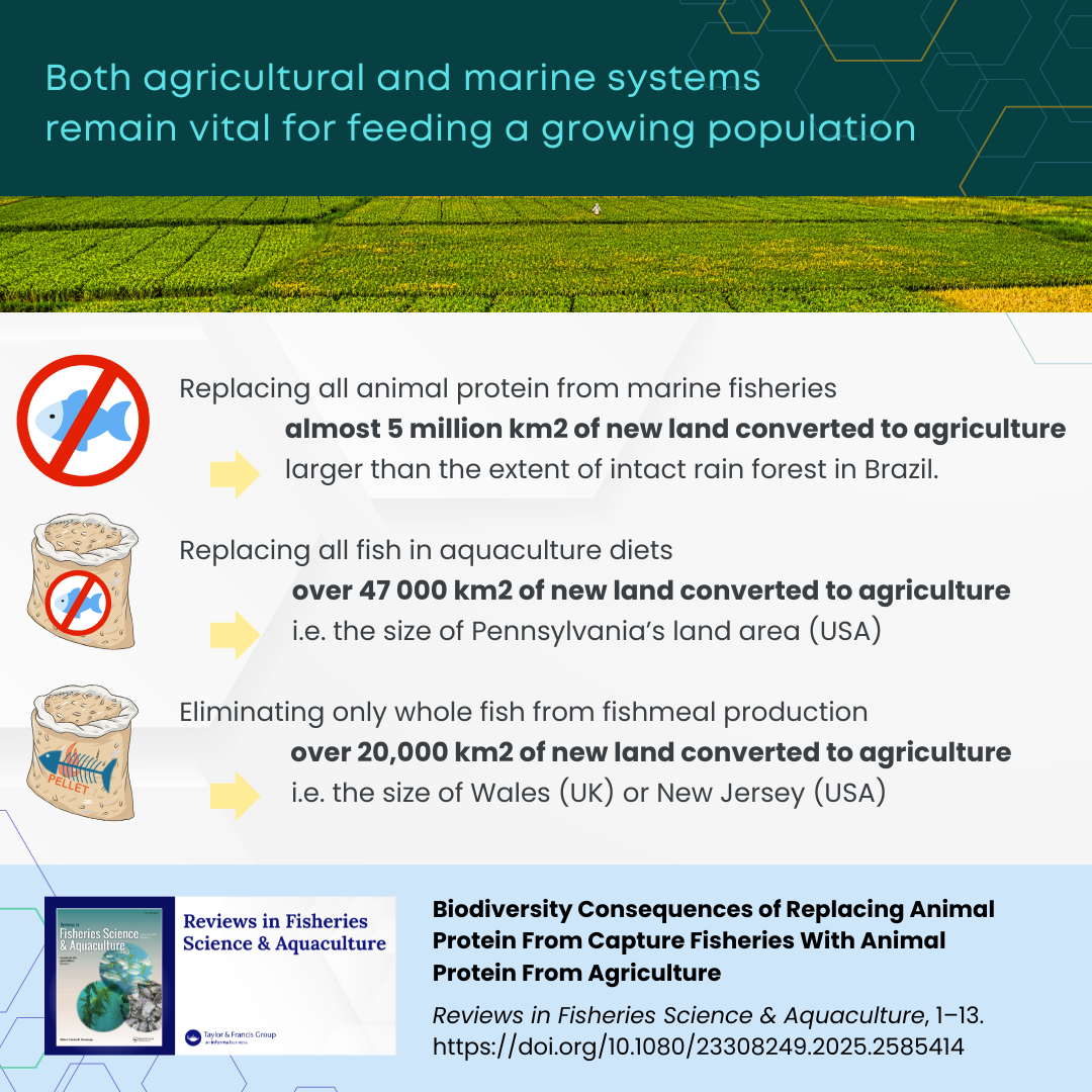 February 2026 Editorial | IFFO - The Marine Ingredients Organisation