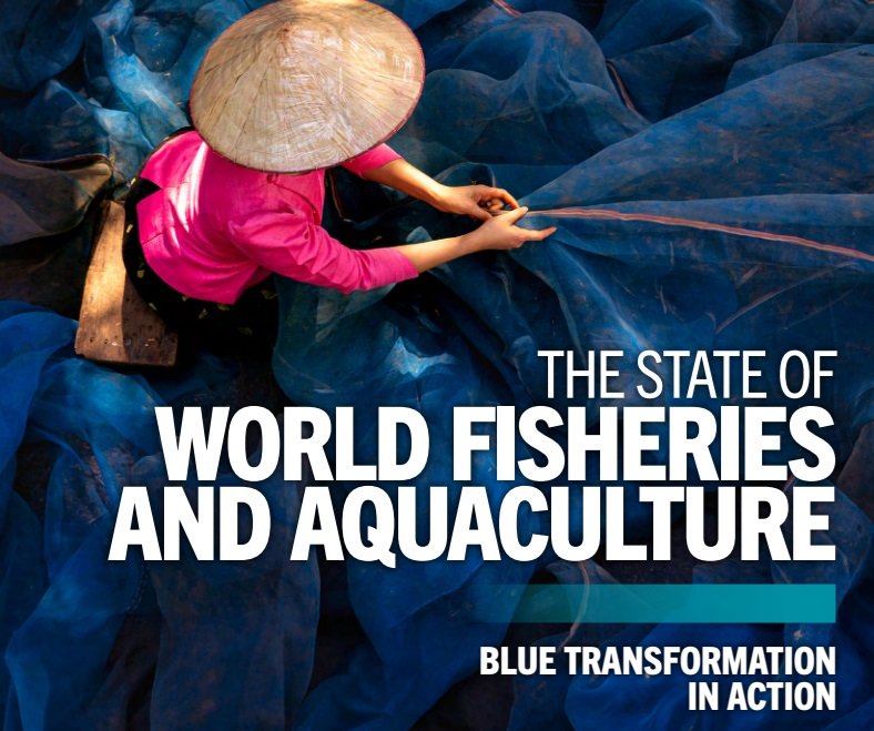 July 2024 Editorial | IFFO - The Marine Ingredients Organisation